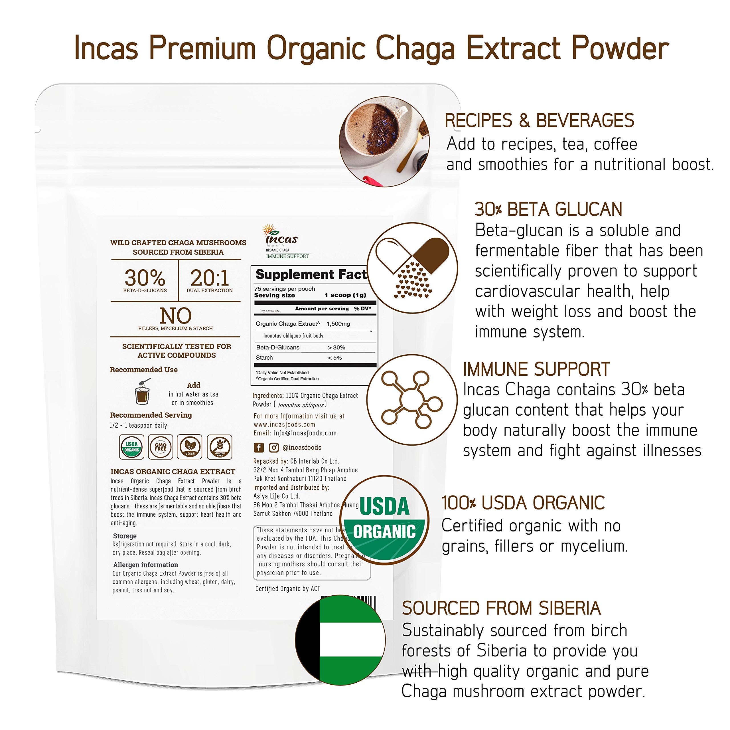 energy boost with chaga mushrooms