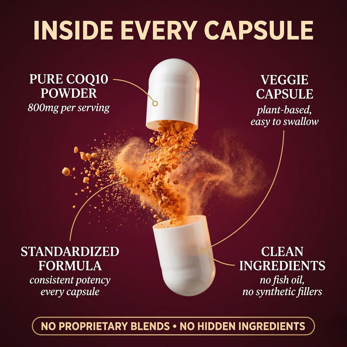 energy boost with coq10 supplement
