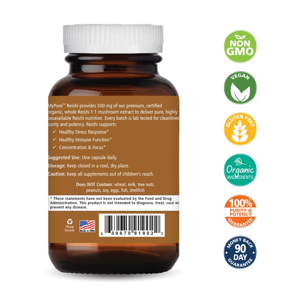 energy boost with reishi mushrooms