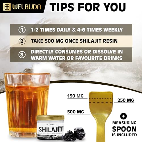 energy boost with shilajit supplement