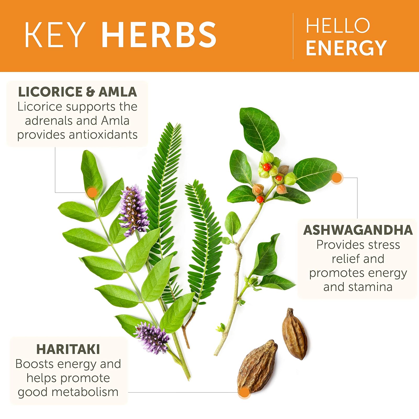energy boosting ashwagandha for wellness