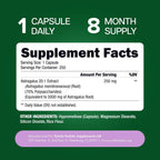 energy boosting astragalus root supplement