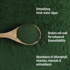 energy boosting chlorella algae supplement