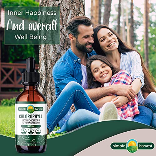 energy-boosting chlorophyll liquid supplement