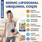 energy boosting coq10 softgels