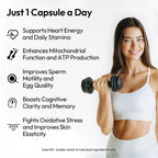energy boosting CoQ10 supplement
