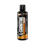 energy-boosting l-carnitine for workouts