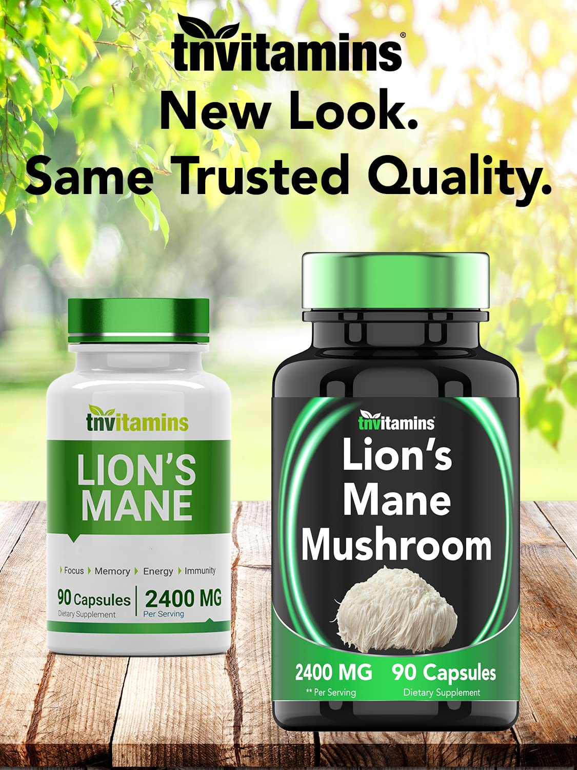 Energy boosting Lion's Mane capsules