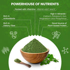 energy-boosting moringa oleifera powder
