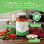 energy-boosting multivitamins for vitality