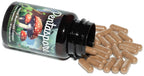energy boosting mushroom blend