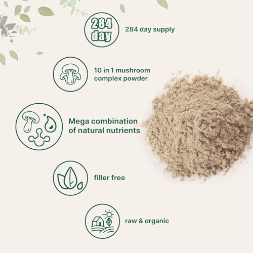 energy-boosting mushroom blend