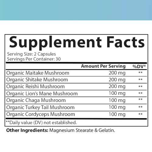 energy-boosting mushroom blend