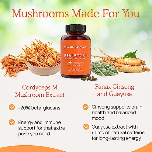 Energy-boosting mushroom capsules