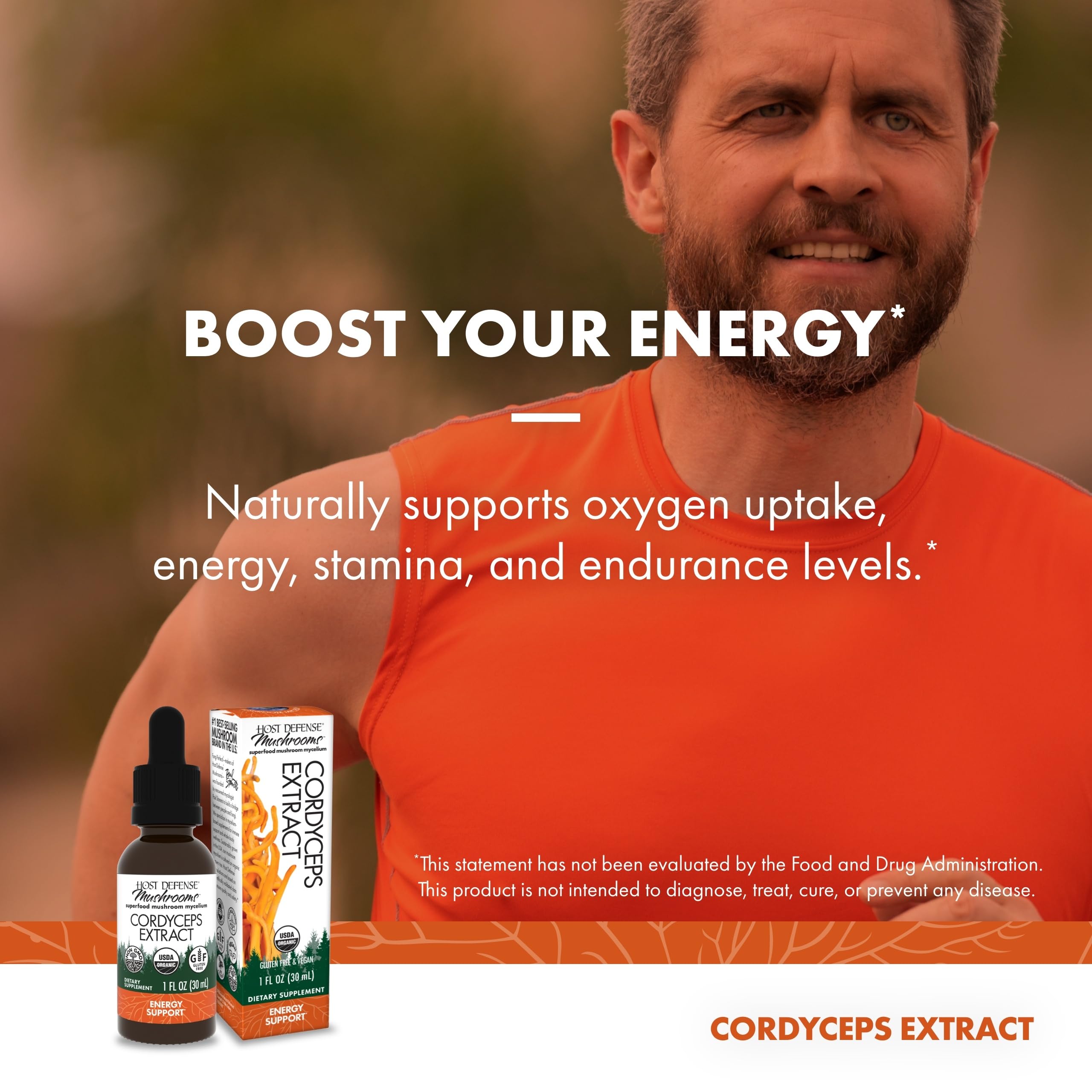 energy-boosting mushroom extract formula