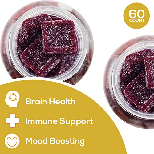 energy boosting mushroom gummies