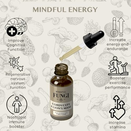 energy-boosting mushroom liquid