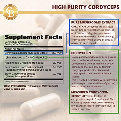 Energy-boosting mushroom supplement