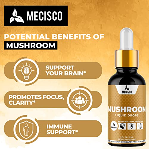 energy-boosting mushrooms for active lifestyles