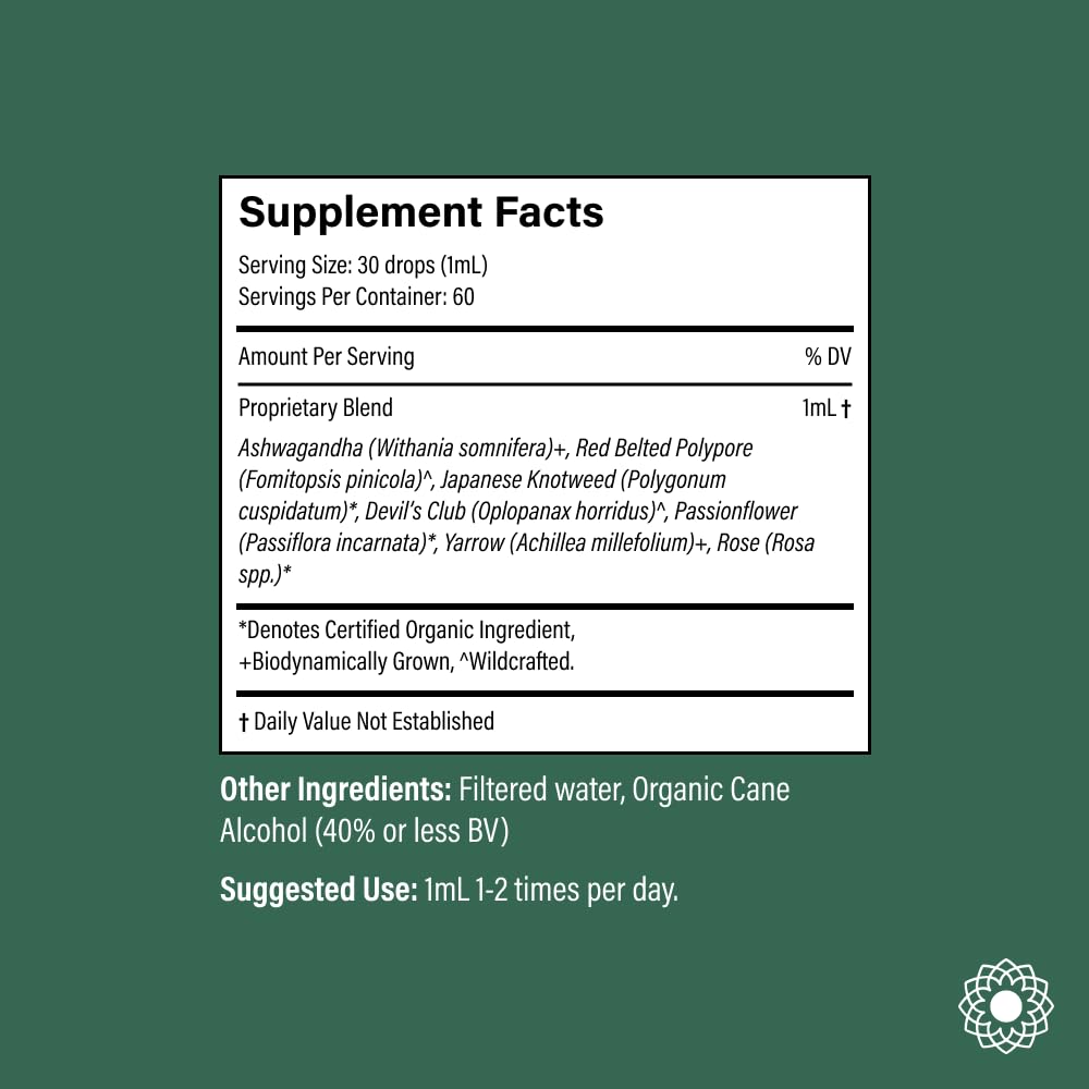 energy-boosting mushrooms for daily use