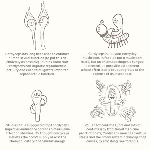 energy-boosting mushrooms for daily use