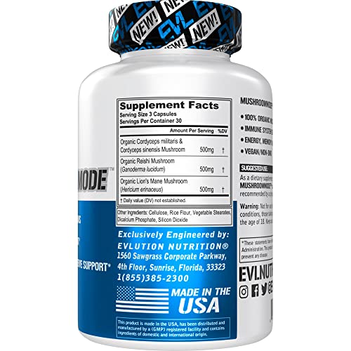 energy boosting nootropics blend