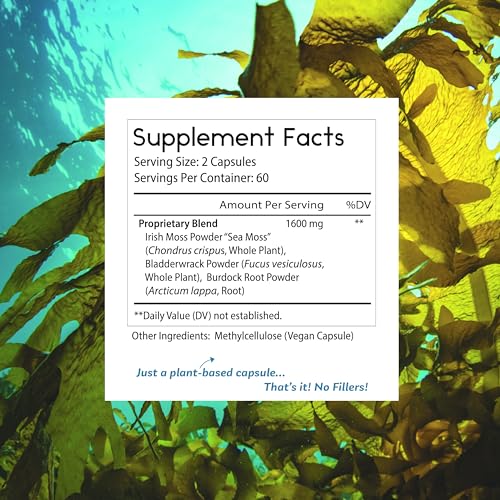energy-boosting sea moss supplements