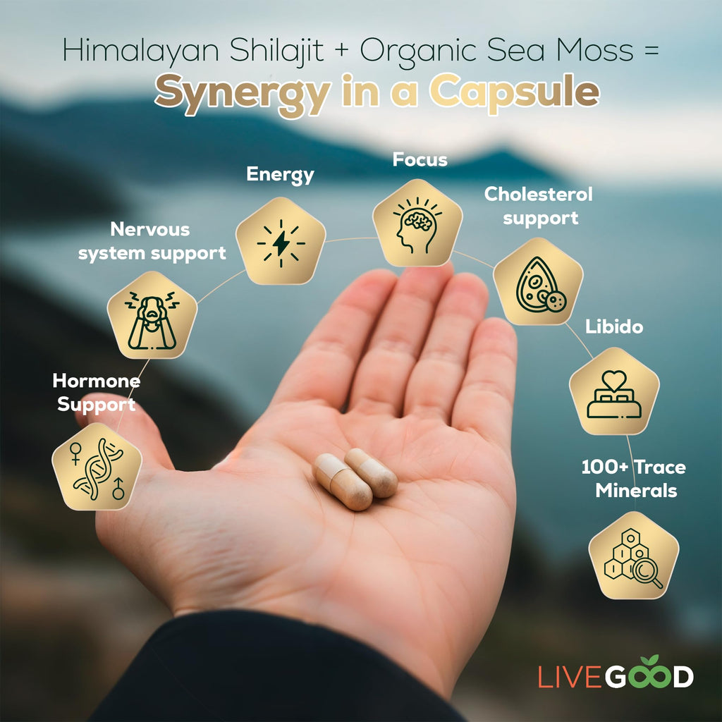 Energy-boosting shilajit supplement