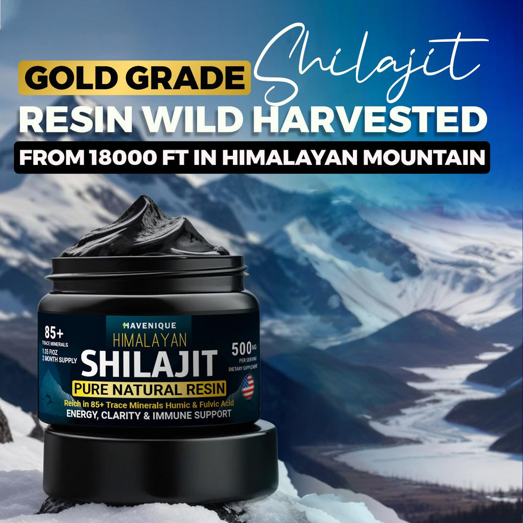 energy boosting shilajit supplement