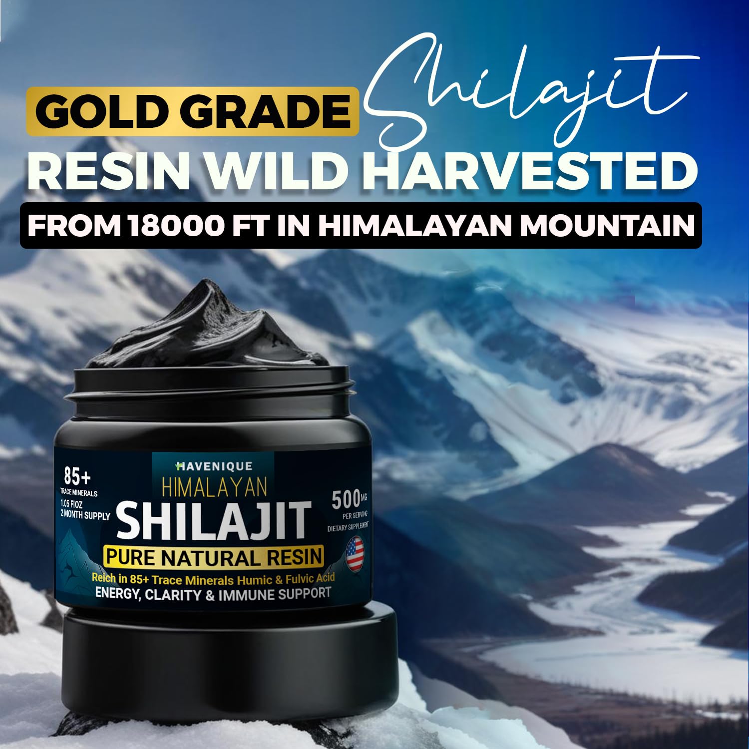 energy boosting shilajit supplement