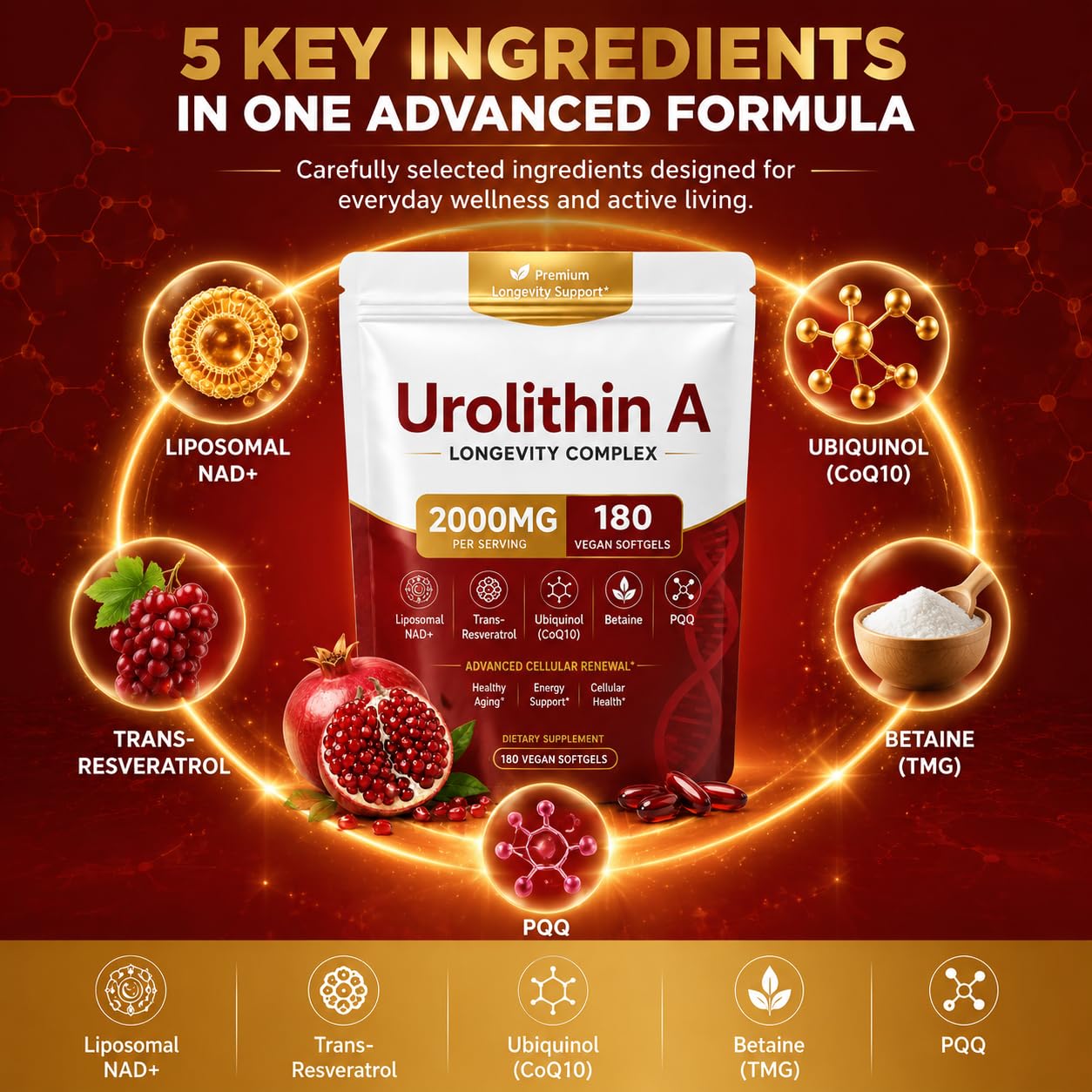 energy-boosting Urolithin A formula