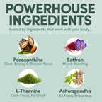 energy drink powder for workouts