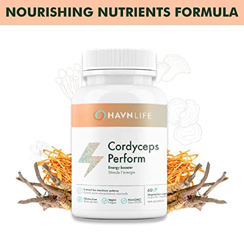 Energy-enhancing mushroom capsules