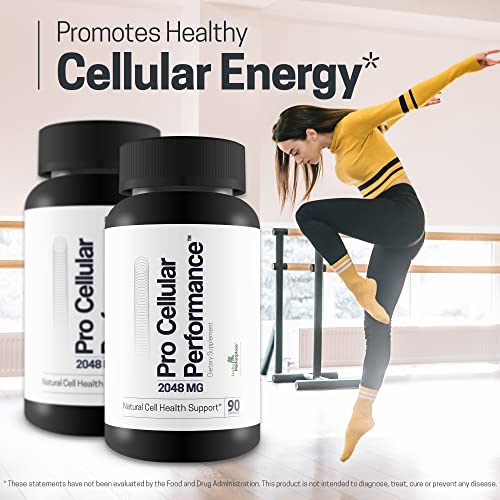 energy-enhancing vitamin and mineral formula
