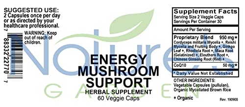 energy mushroom support capsules