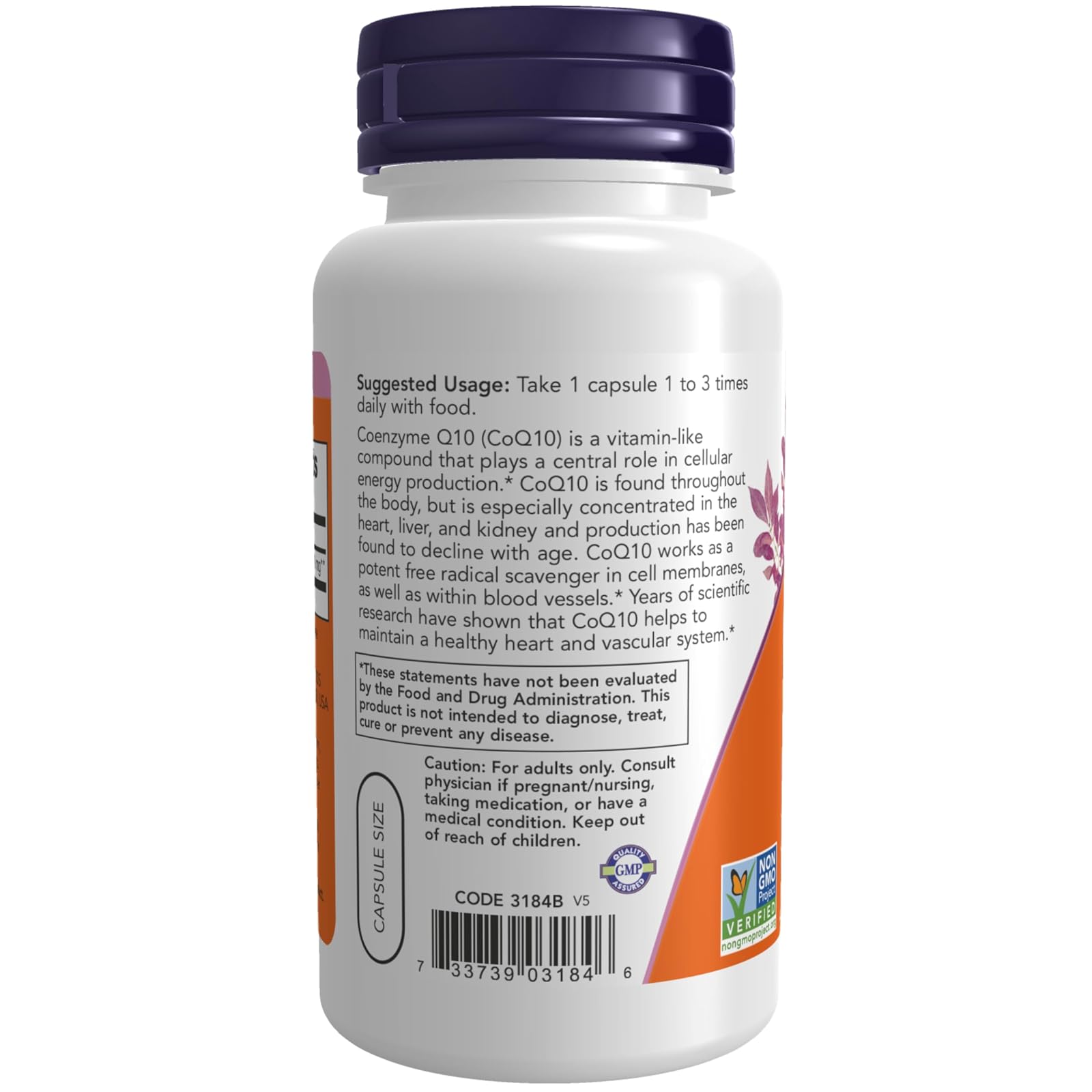 energy production supplement CoQ10