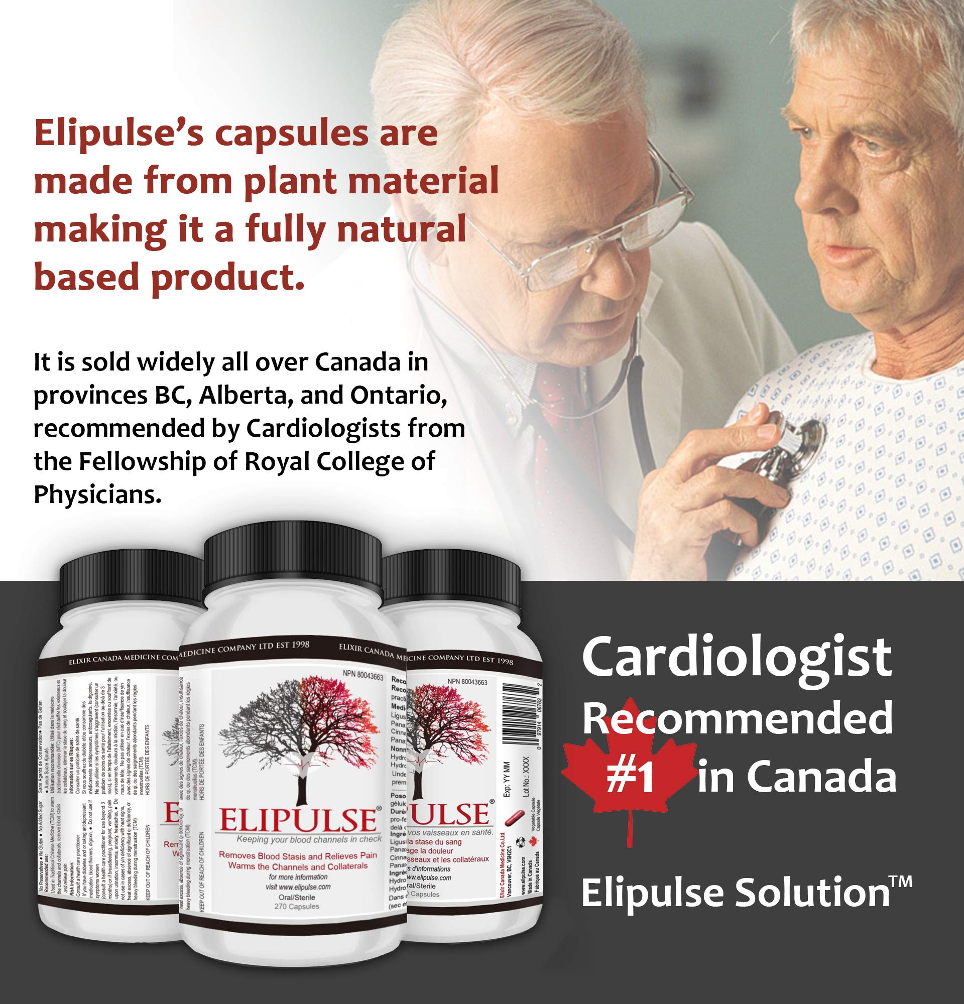 energy support blended vitamin & mineral supplements