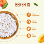 energy support coenzyme q10