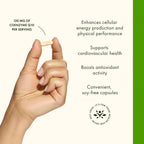 energy support coq10 capsules