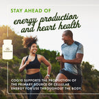 energy support coq10 supplement