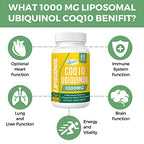 energy support coq10 supplement