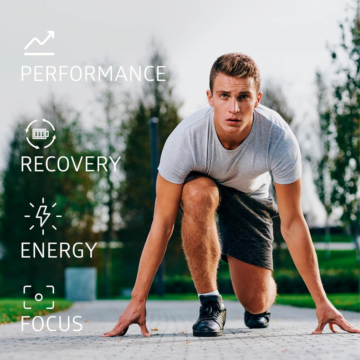 energy support from black tea extract