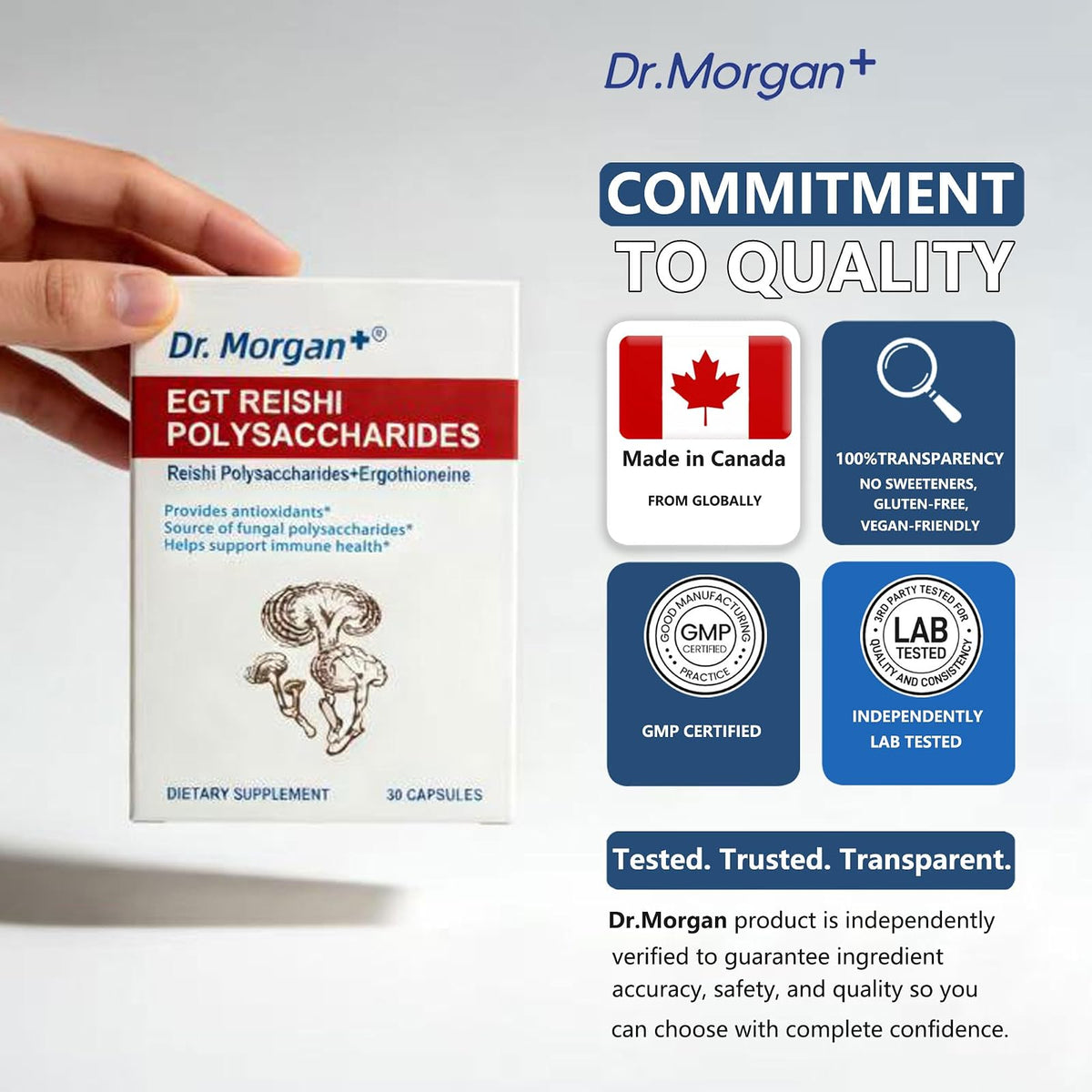 energy support from Dr. Morgan