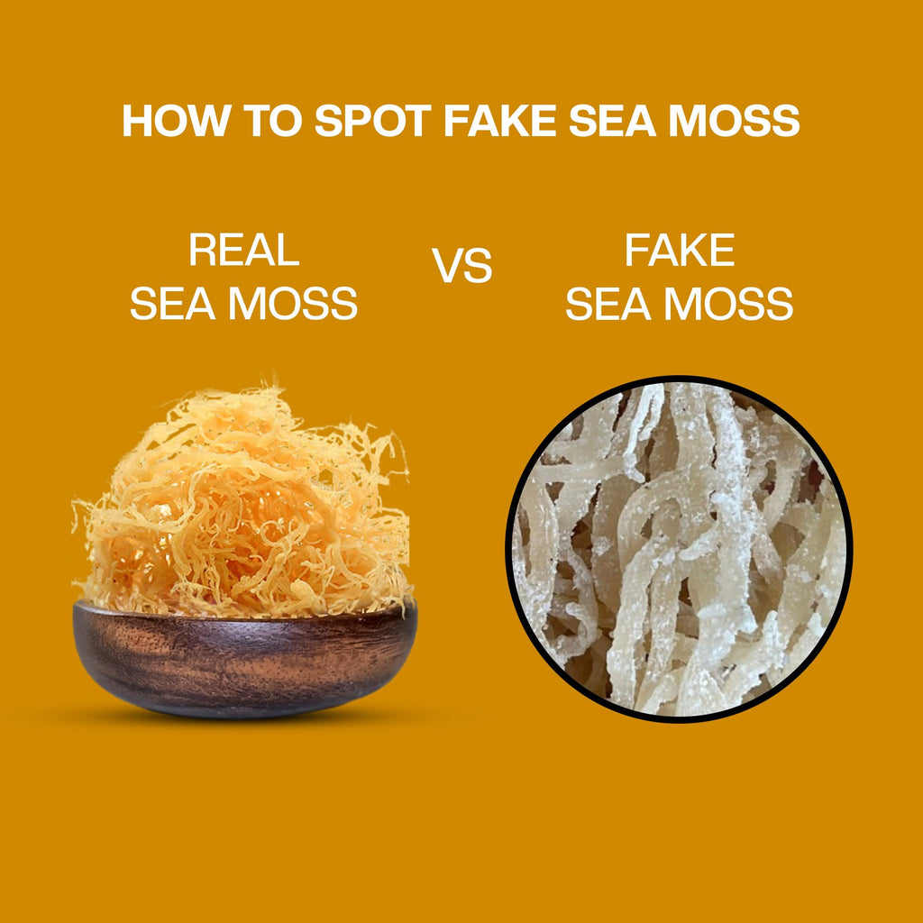energy support sea moss extract