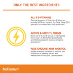 energy support vitamin b complex