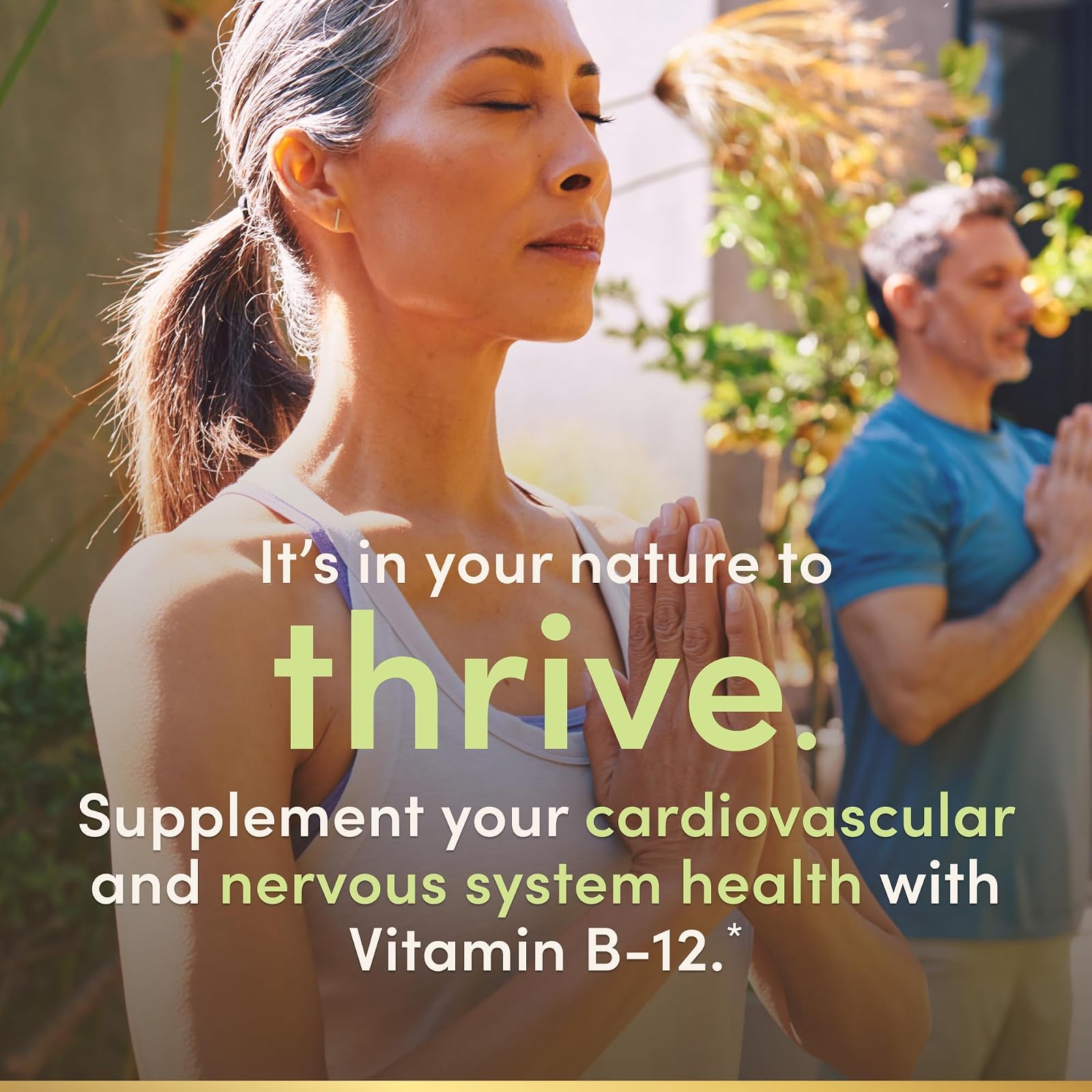 energy support vitamin b12 formula