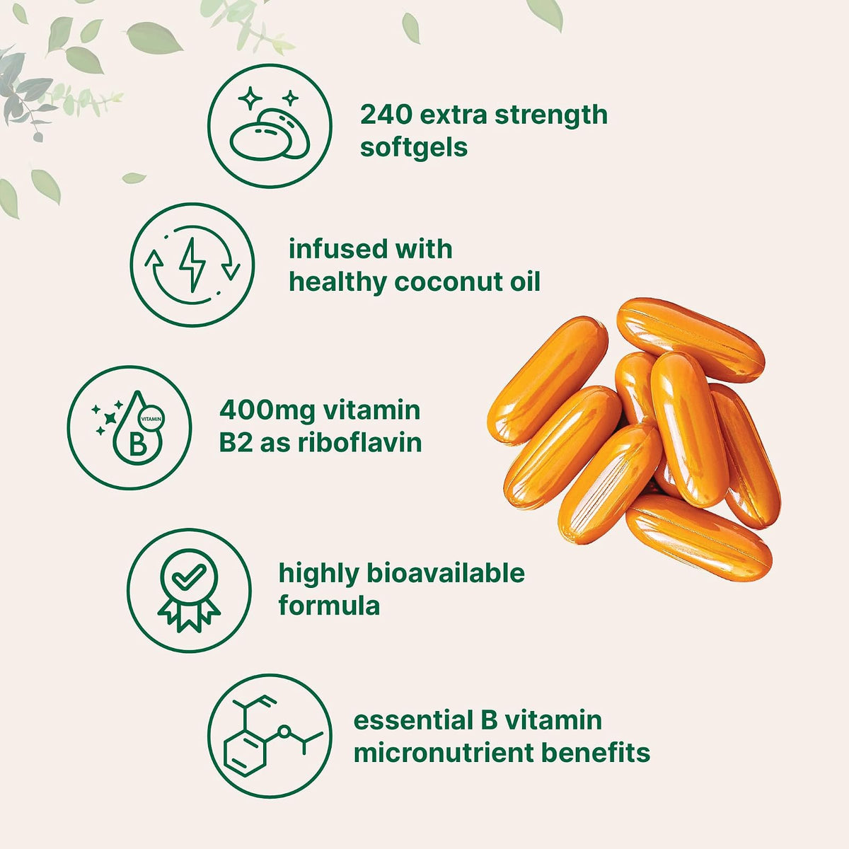 energy support vitamin B2 capsules