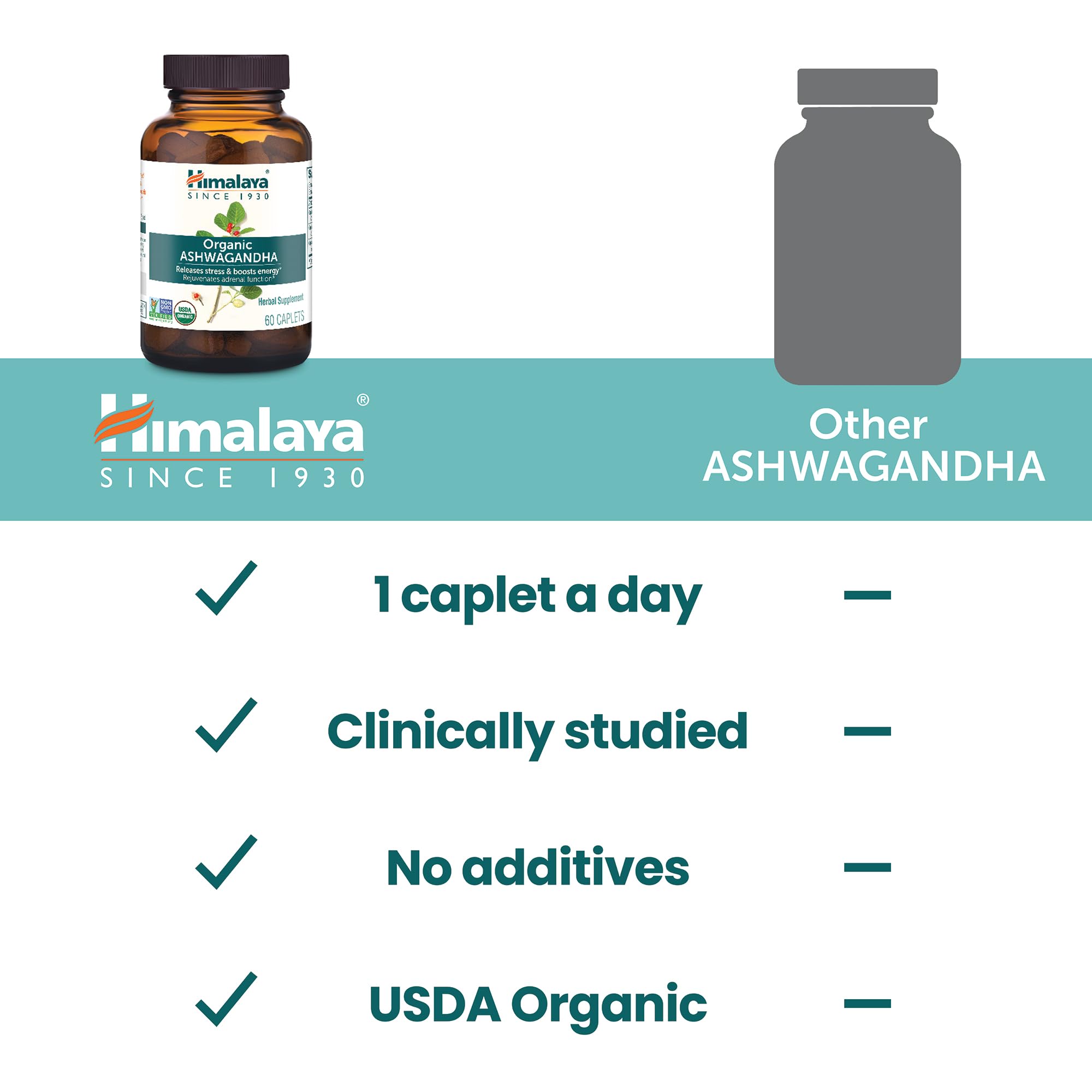 energy support with ashwagandha