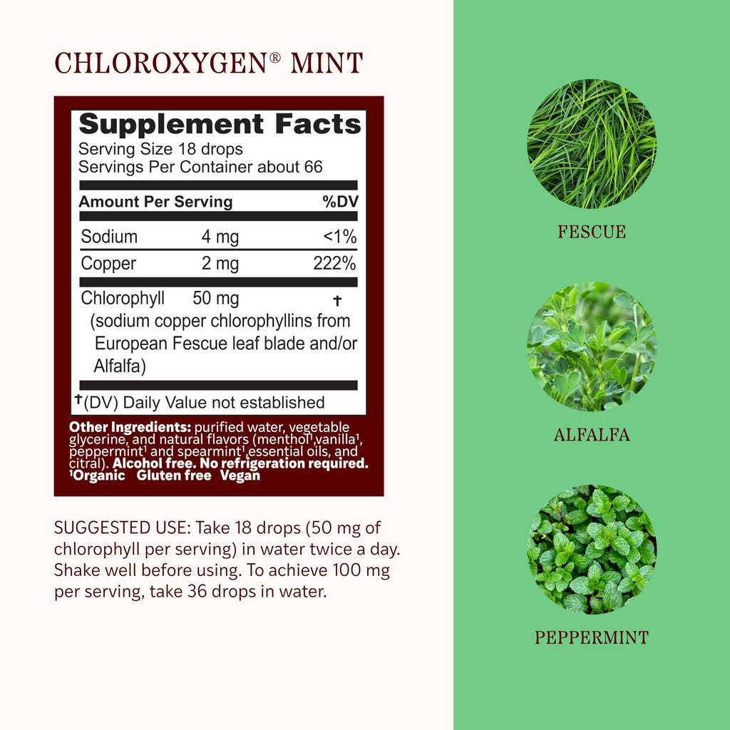 energy support with chlorophyll