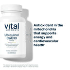 energy support with coq10 100 mg